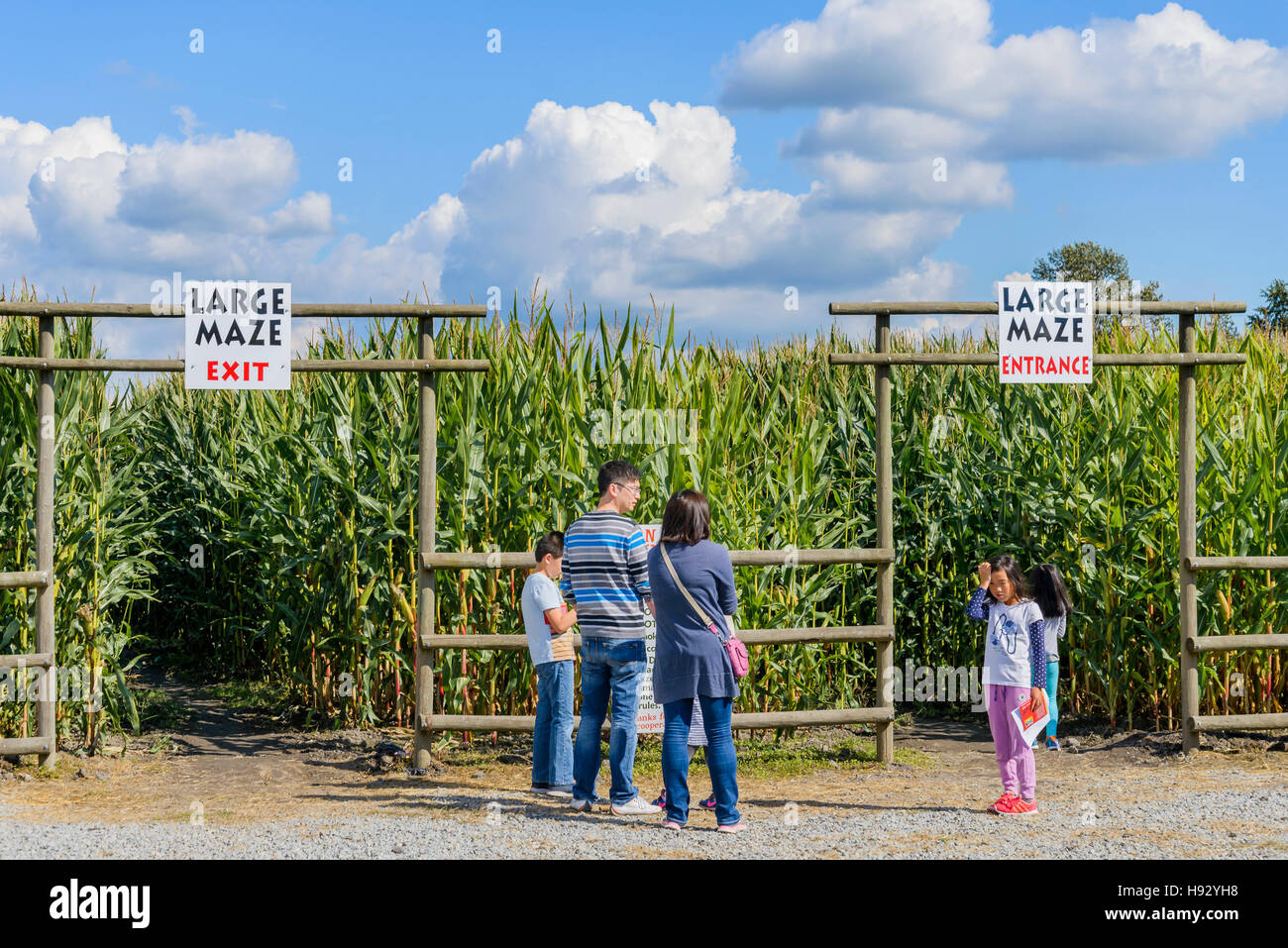 Hopcott's Meadows Corn Maze, Pitt Meadows, British Columbia, Canada ...