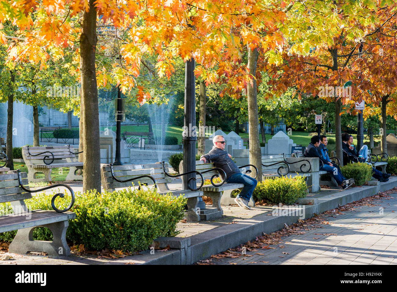 Harbour green park benches vancouver hi-res stock photography and ...