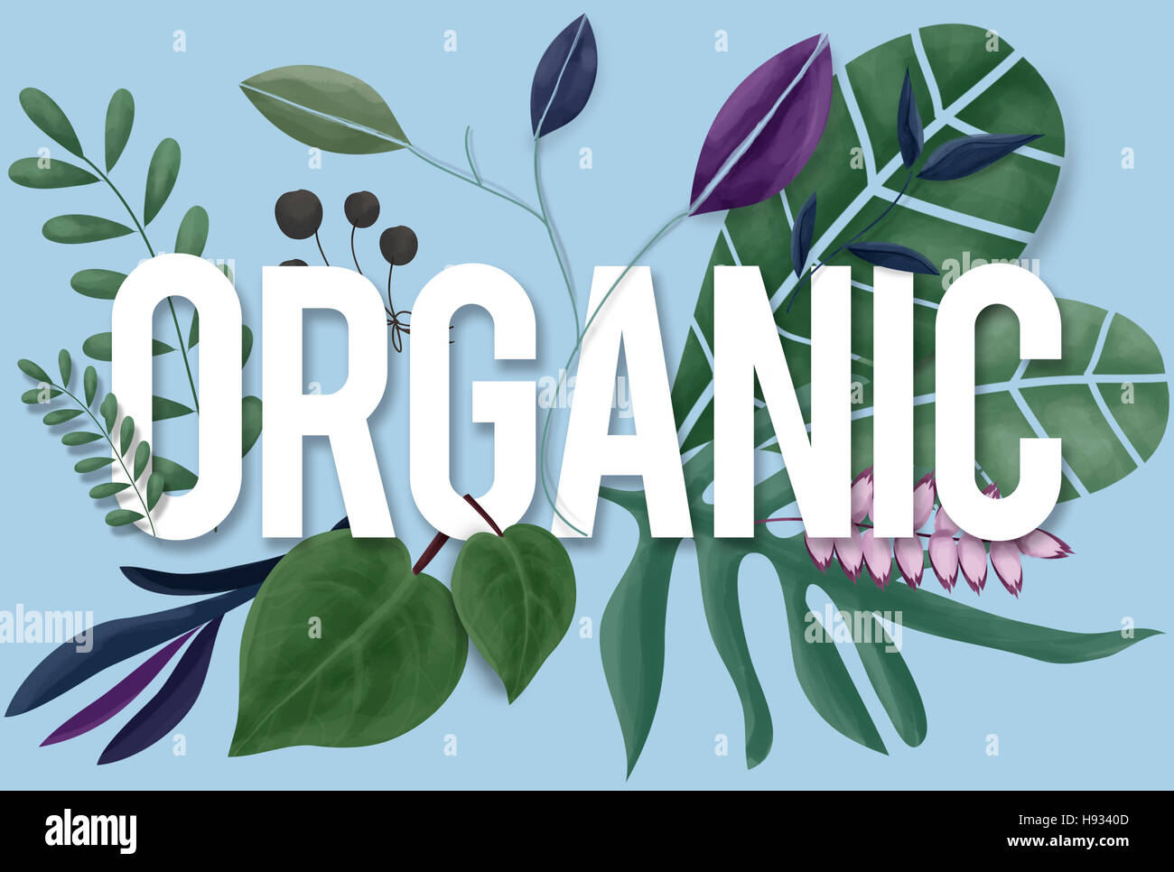 Nature Environment Green Earth Growth Natural Concept Stock Photo - Alamy