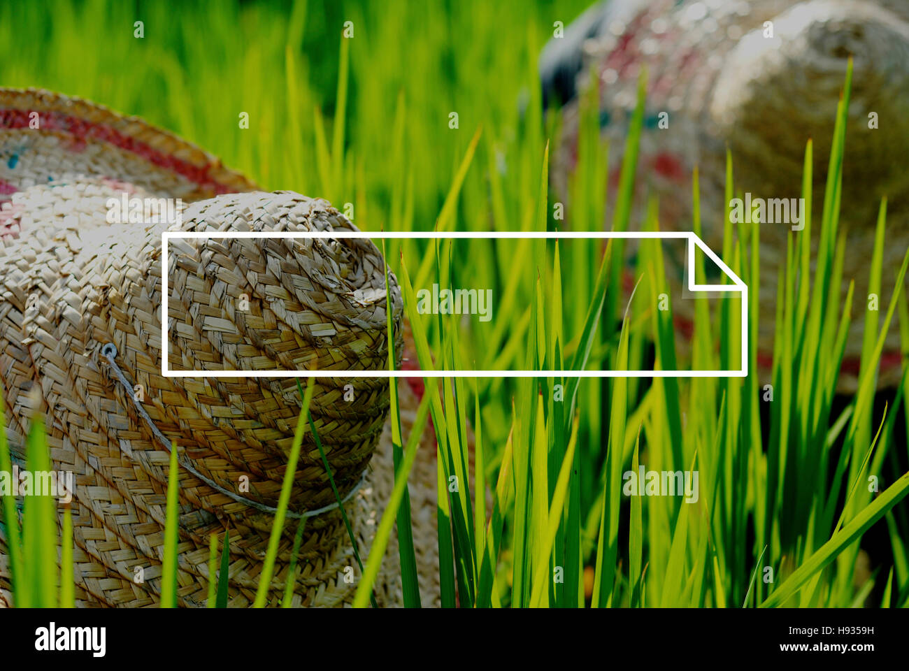 Natural Outdoor Environment Frame Graphic Concept Stock Photo - Alamy