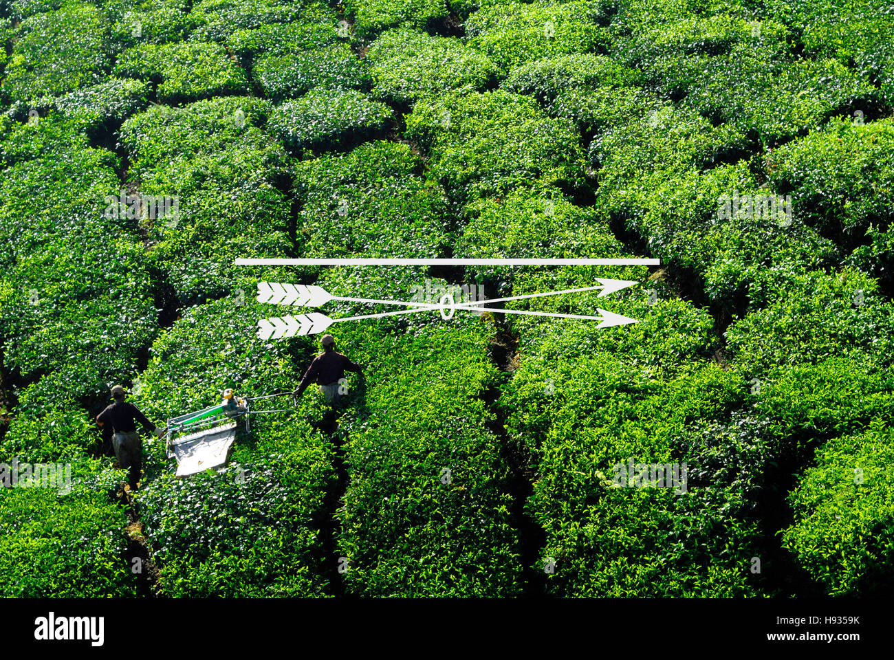 Clarity Closeup Focal Point Spotlight Target Vision Concept Stock Photo ...