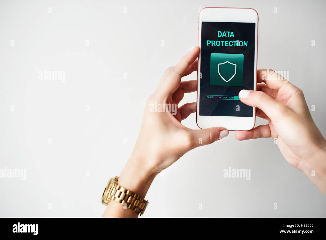 Data Protection Shield Secured Permission Graphic Concept Stock Photo ...