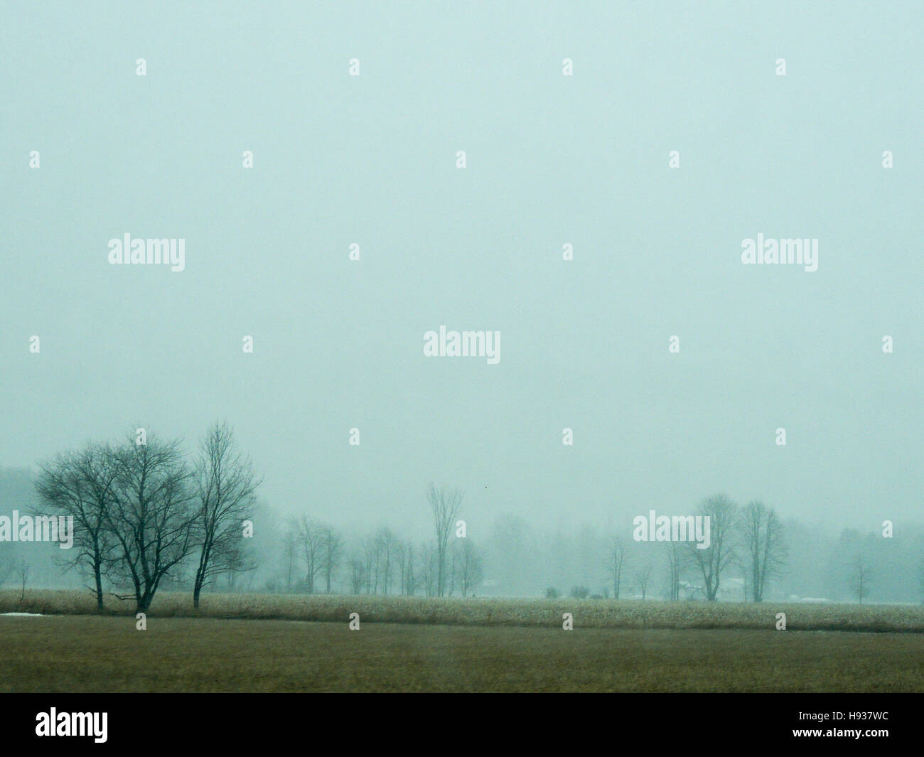 Fuitile hi-res stock photography and images - Alamy