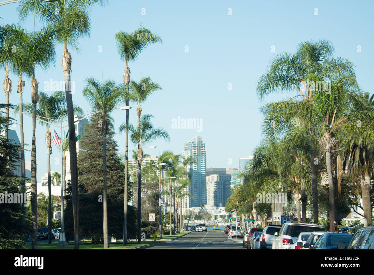 Palm Tree lined street with downtown San Diego in view Stock Photo - Alamy