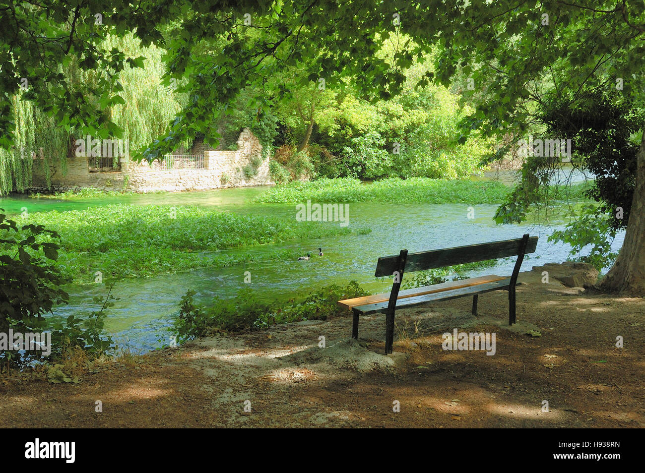 Parkbench view hi-res stock photography and images - Alamy