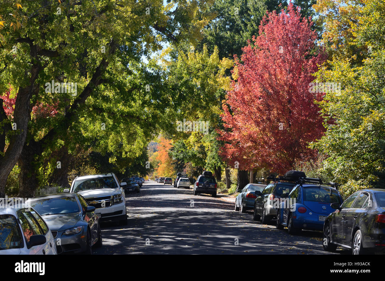 Autumn street scene, Boulder Colorado Stock Photo - Alamy