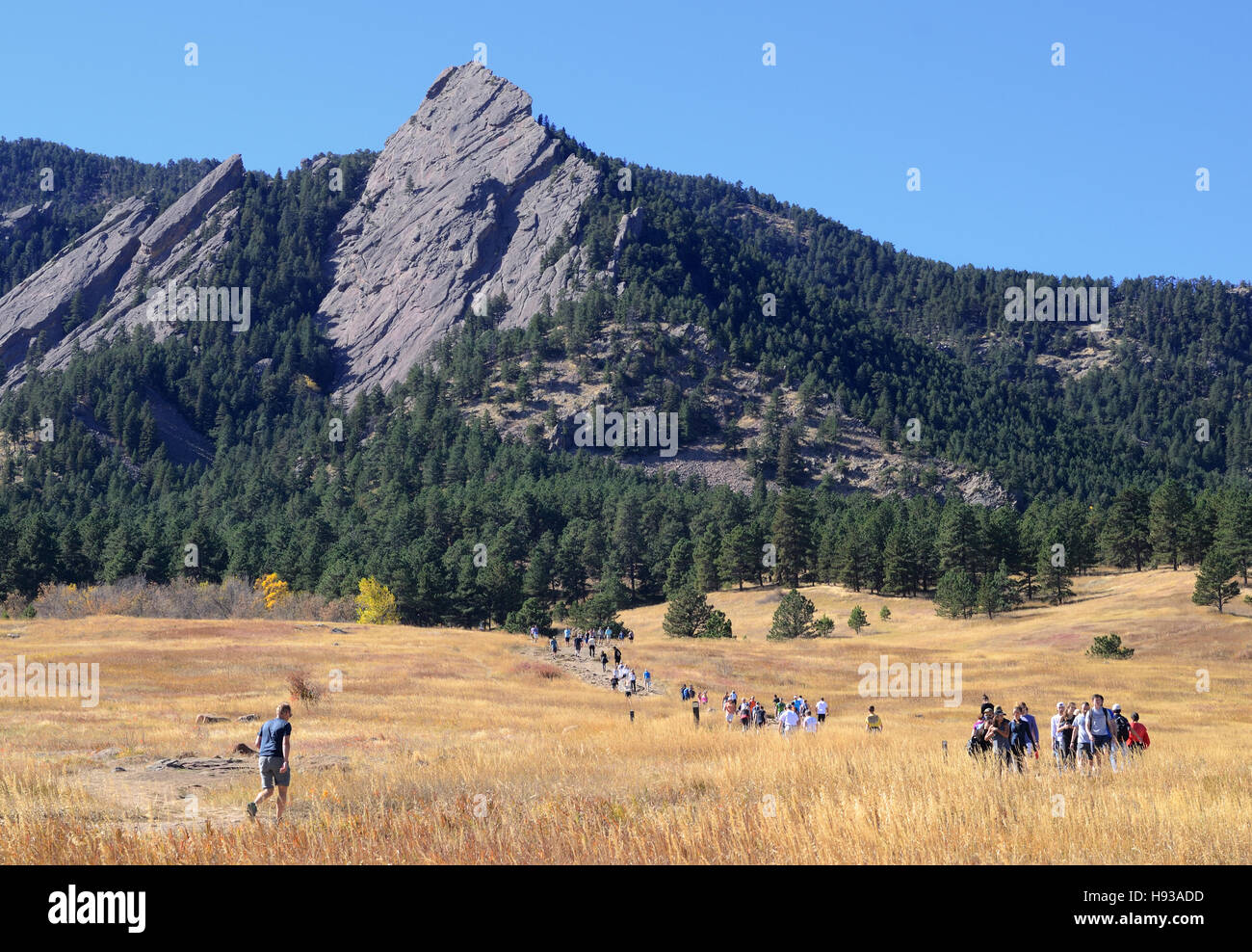 Many hikers using trails at Chautauqua Park and the Flatirons in ...