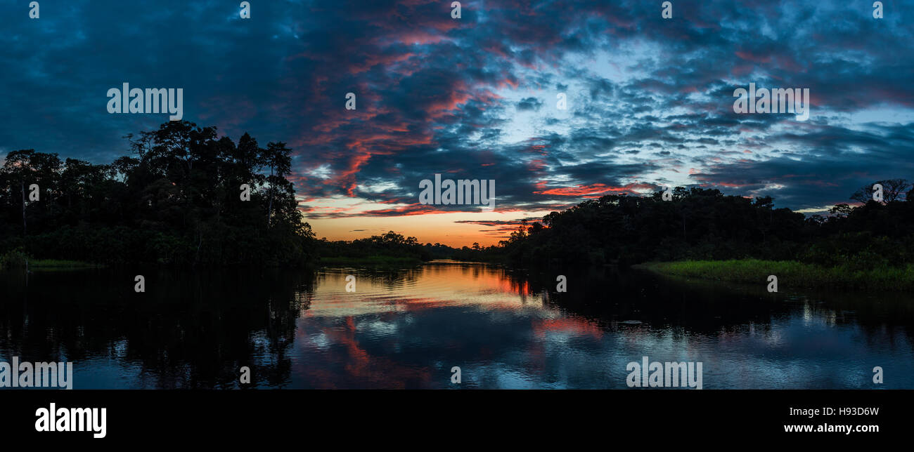 Panorama of colorful clouds at sunset in the Amazons. Yasuni National ...