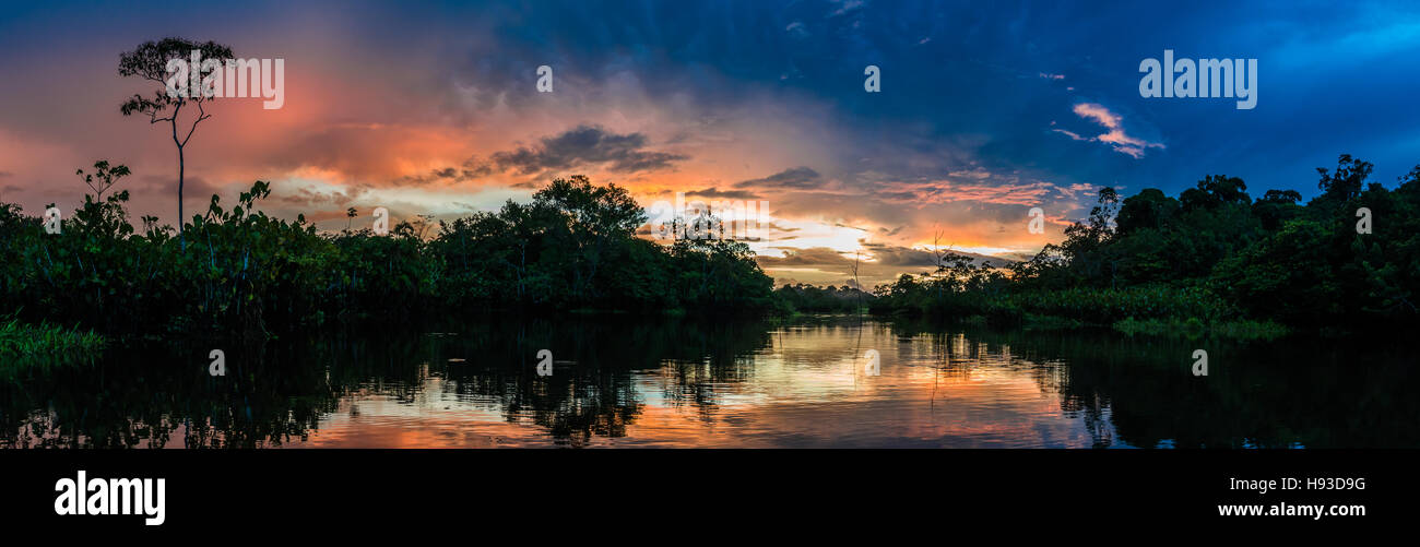 Panorama of colorful clouds at sunset in the Amazons. Yasuni National ...