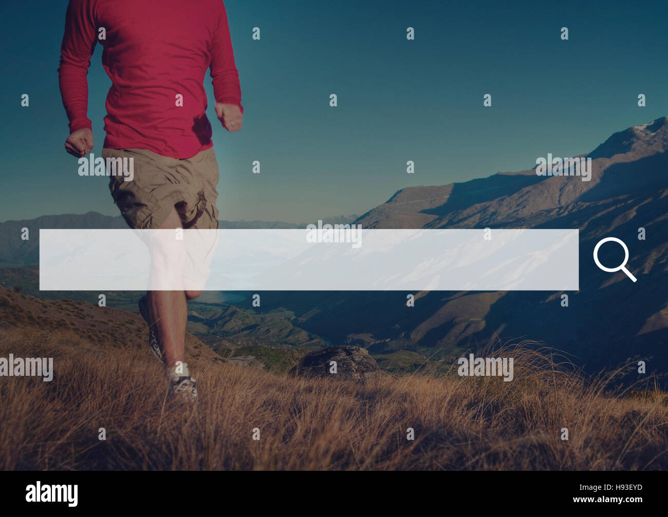 Search Box Web Online Technology Internet Website Concept Stock Photo ...