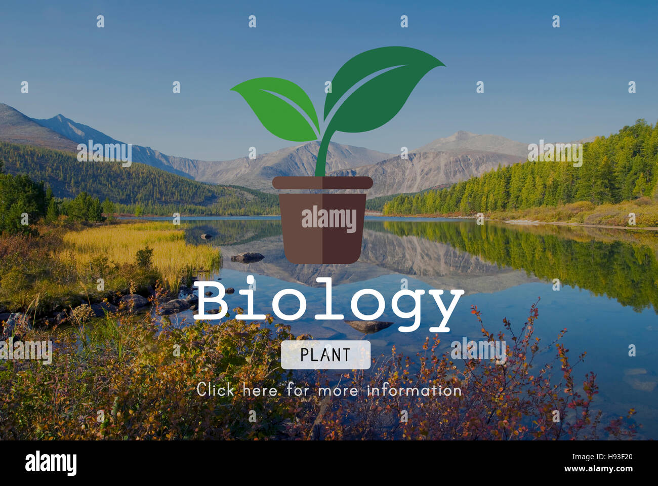 Biology Science Environmental Conservation Nature Concept Stock Photo ...