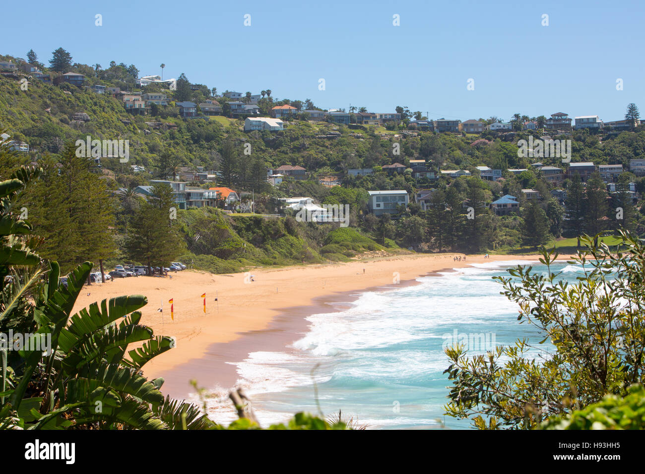 Whale beach, one of Sydney's northern beaches in summer time, new south ...