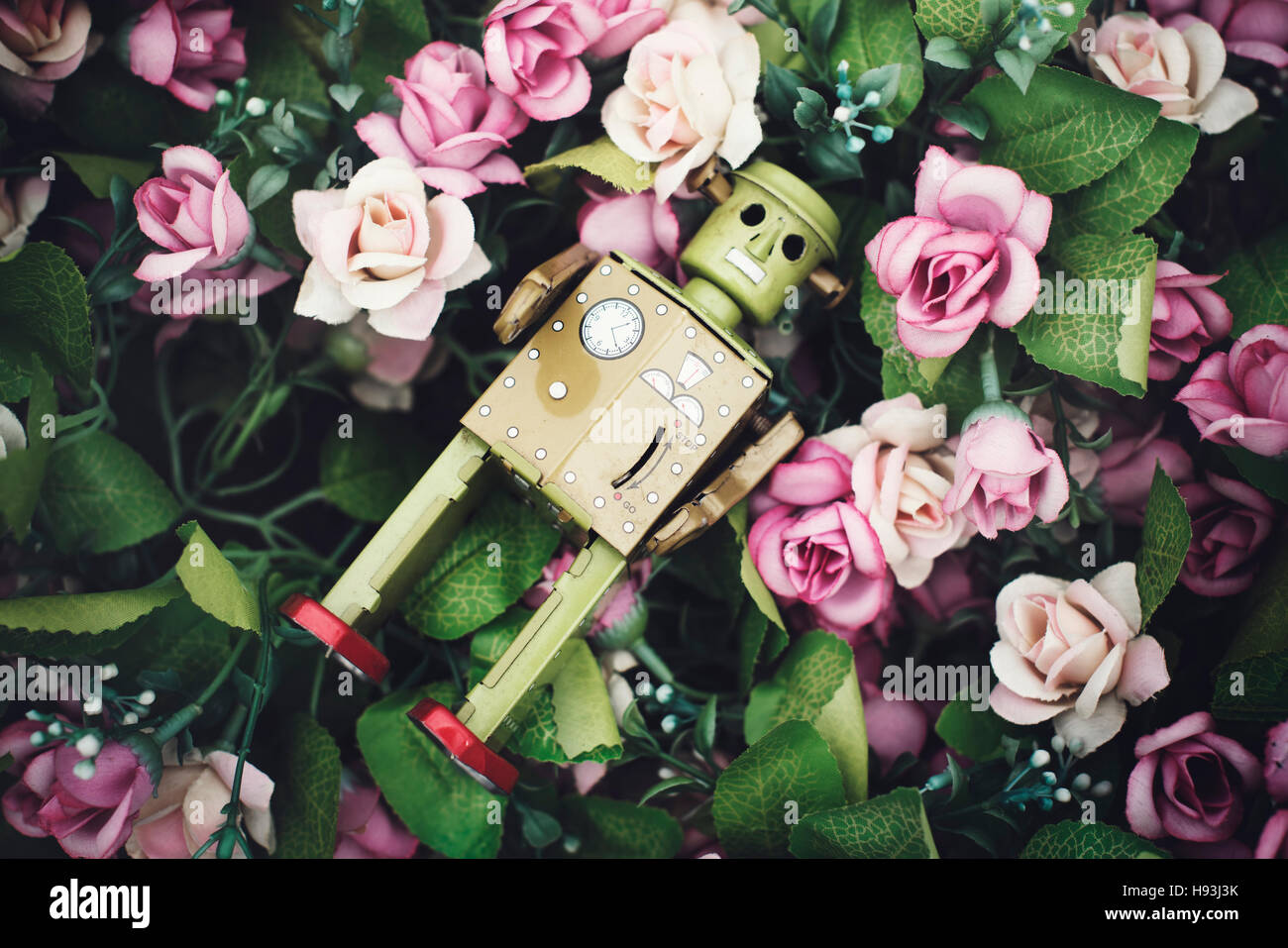 Pink Rose Decoration Robot Concept Stock Photo - Alamy