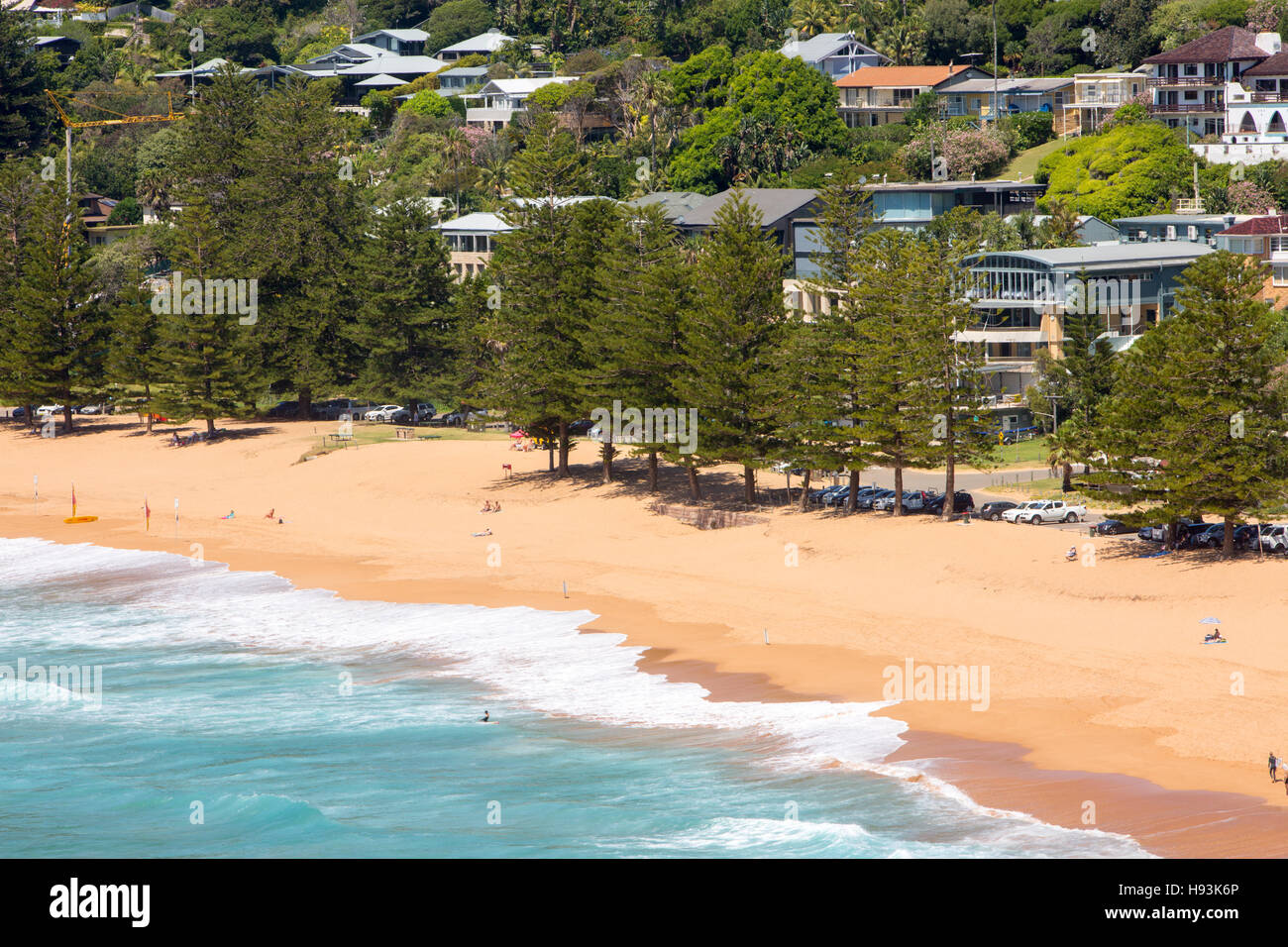 Whale Beach Sydney