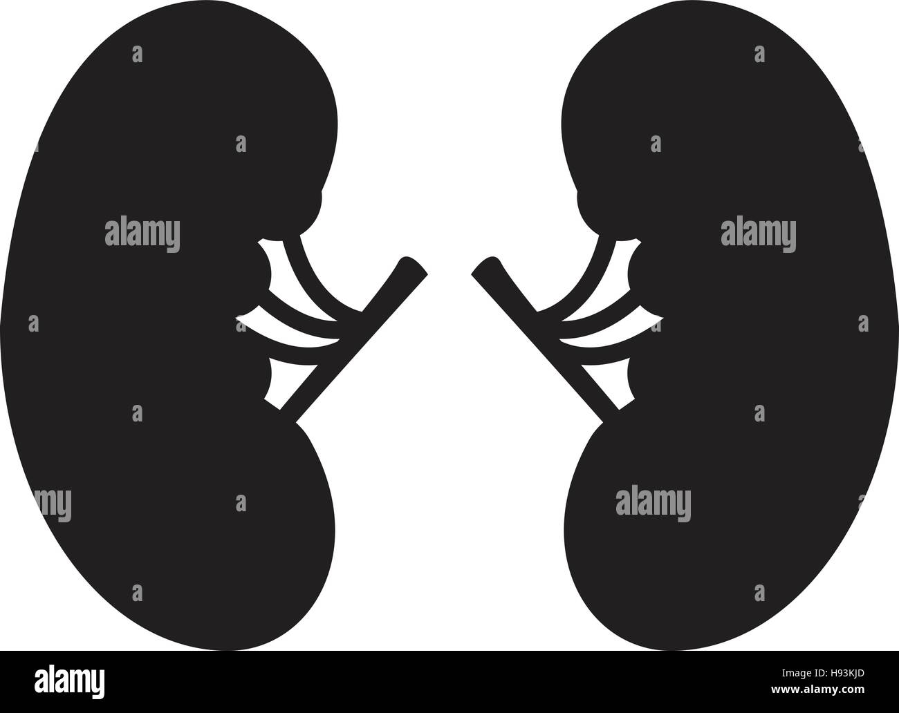 Kidney Icon Black Stock Vector Image & Art - Alamy