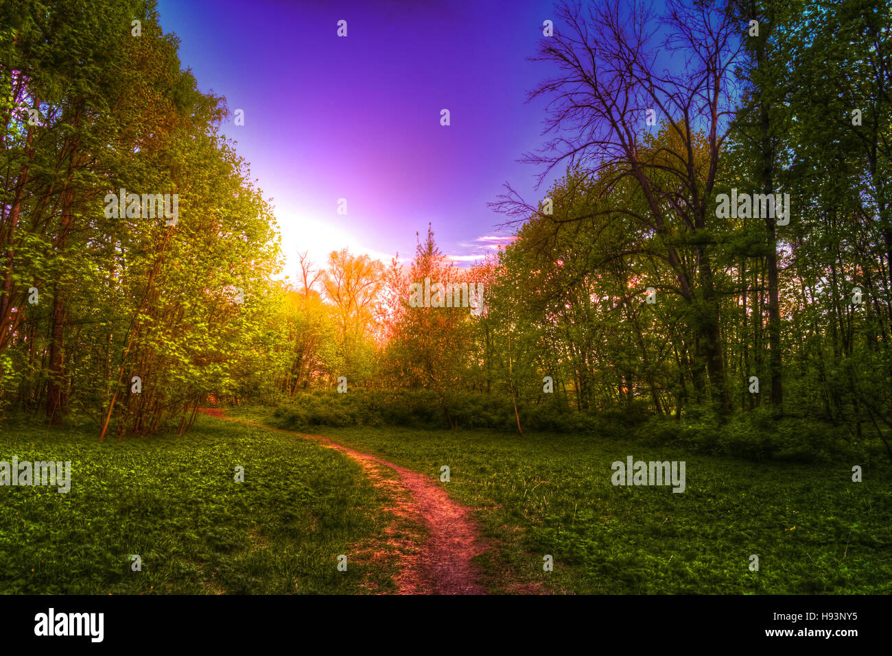 Pathway on a hill with wildflowers. Beautiful natural landscape Stock ...
