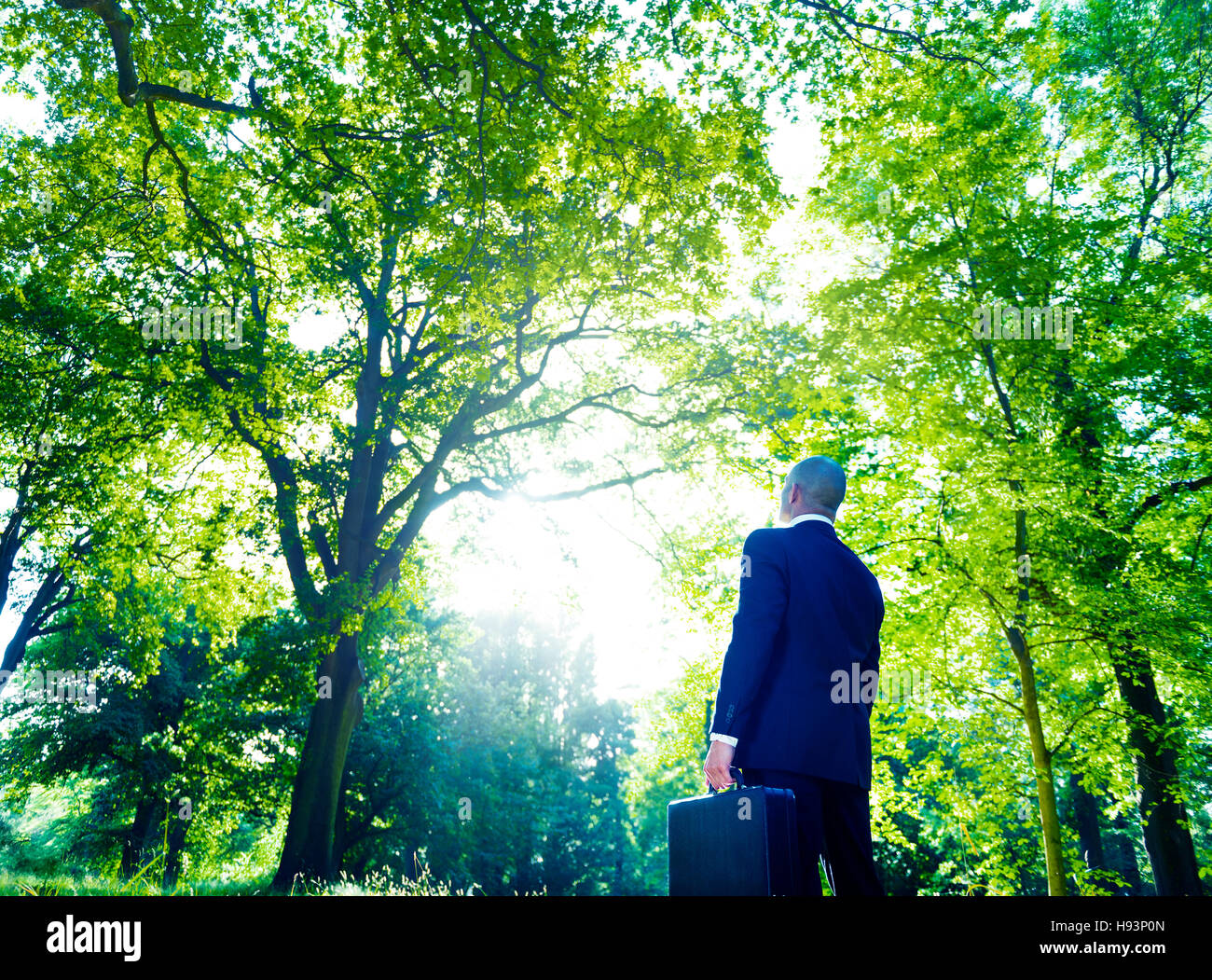 Forest thinking and conservation hi-res stock photography and images ...