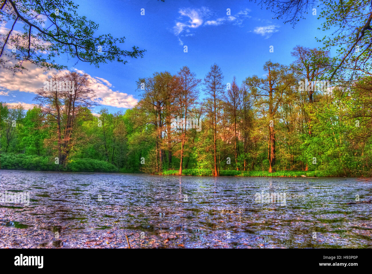 Summer landscape. Green trees around the lake Stock Photo - Alamy