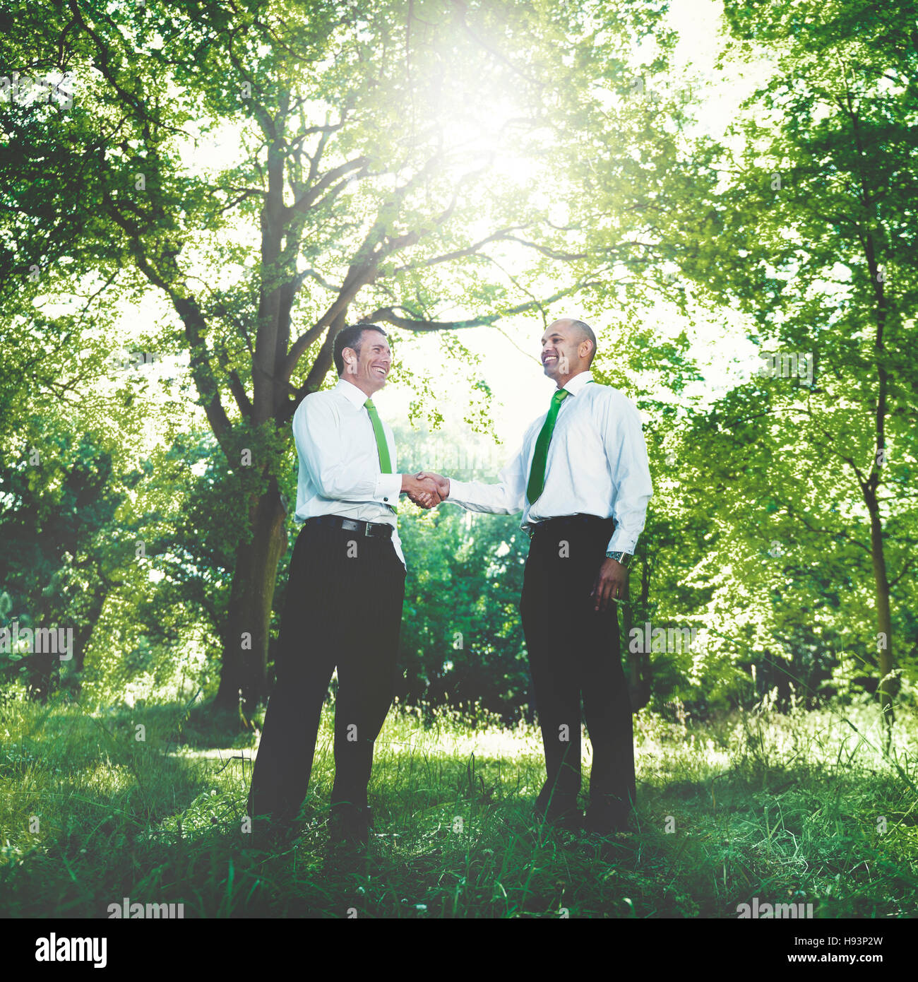 Green Business Handshake Agreement Collaboration Concept Stock Photo ...