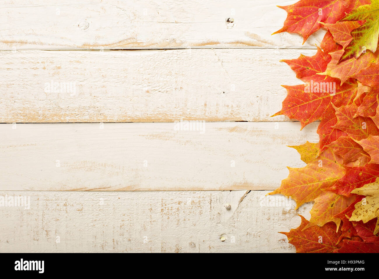 Fall background hi-res stock photography and images - Alamy