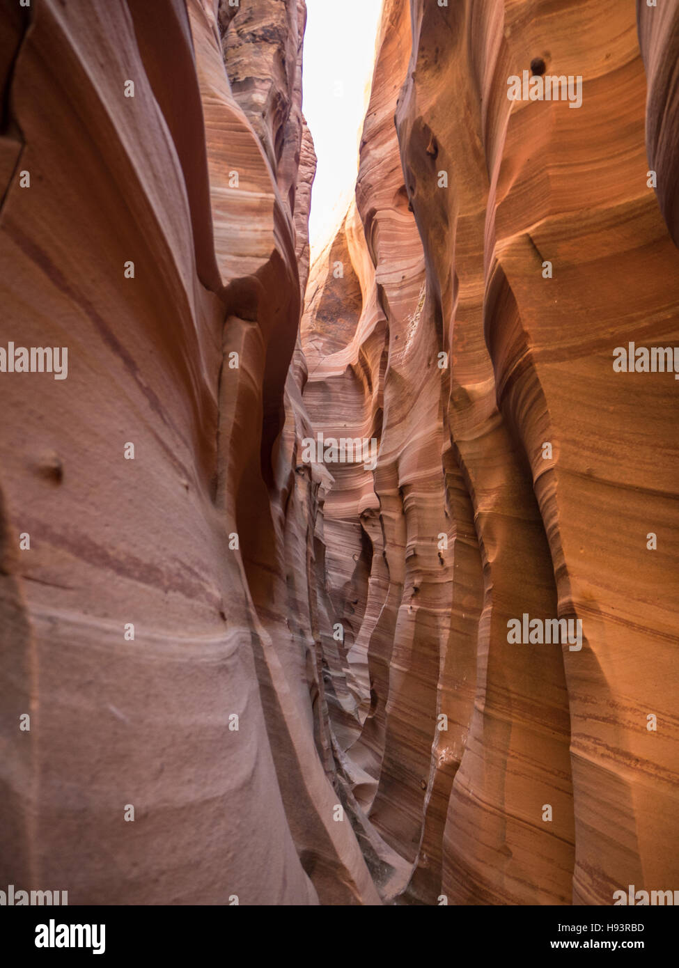 Zebra Slot Canyon, Utah Stock Photo - Alamy