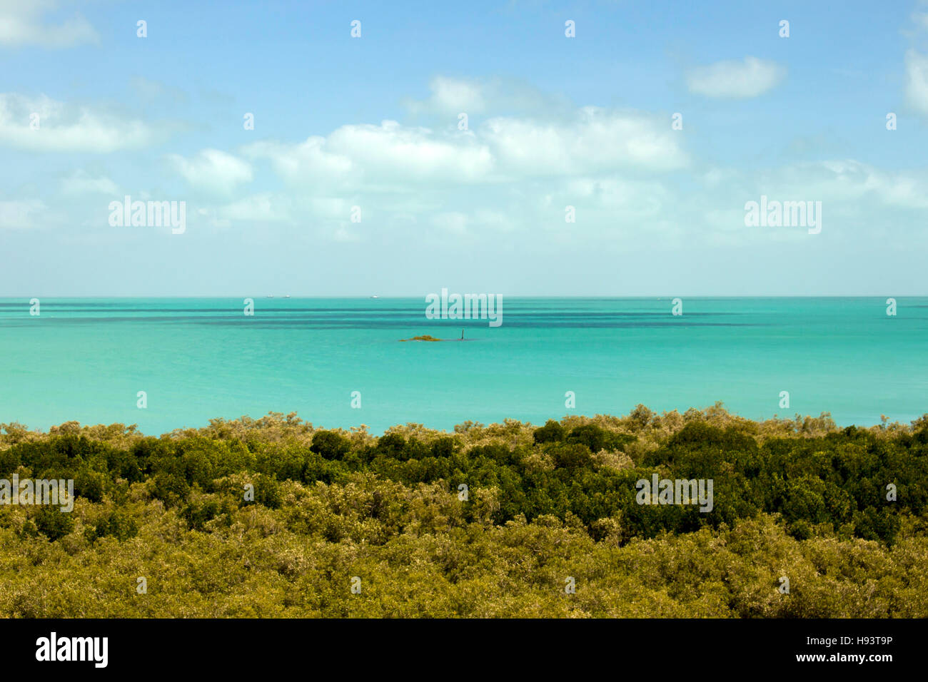 Mangroves lining the tidal flat inlets around Broome, North Western ...