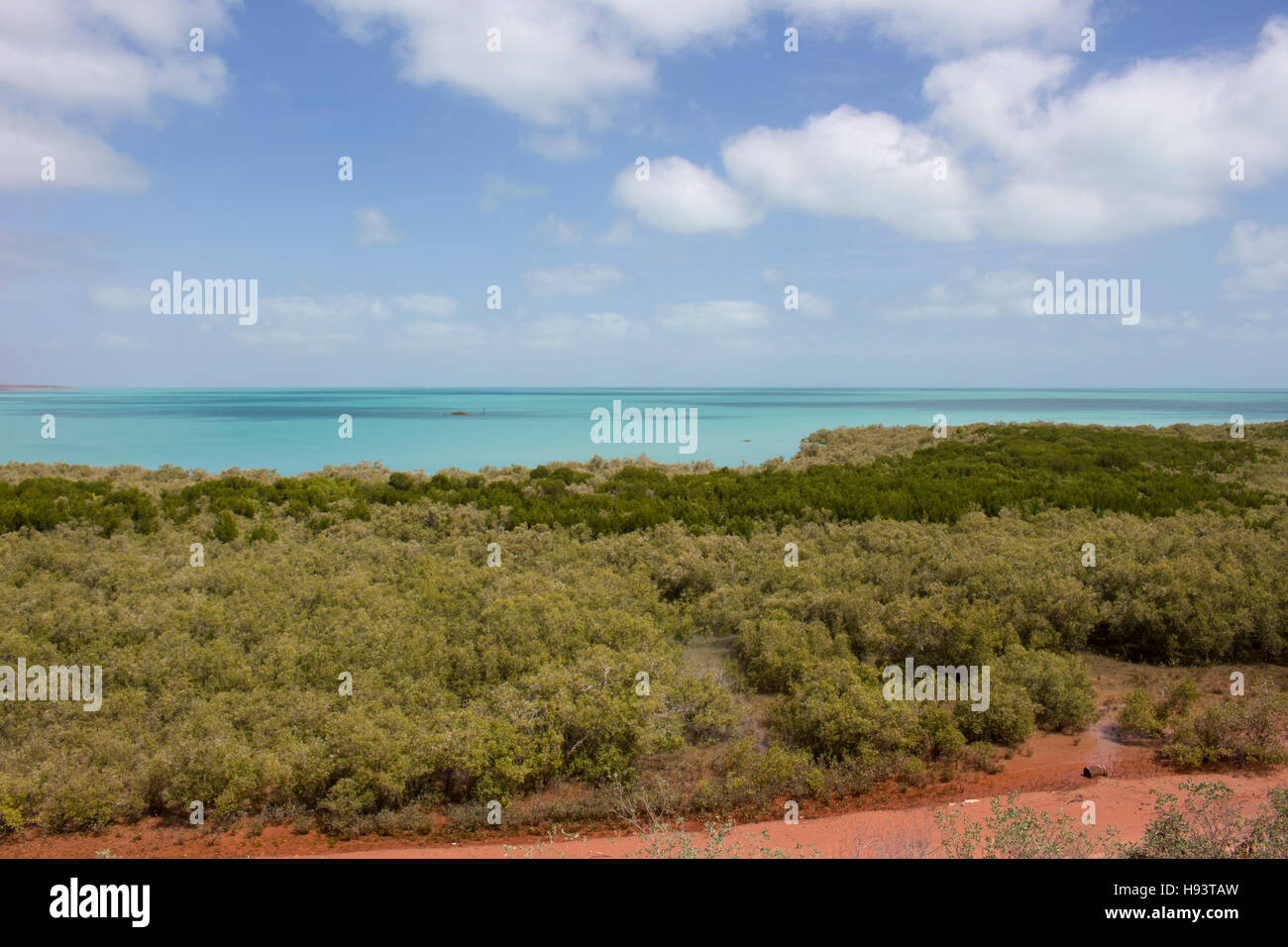 Mangroves lining the tidal flat inlets around Broome, North Western ...
