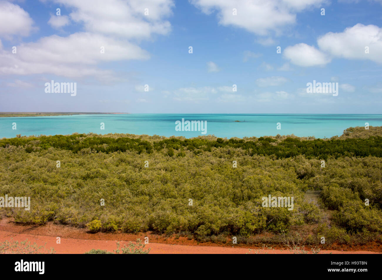 Mangroves lining the tidal flat inlets around Broome, North Western ...