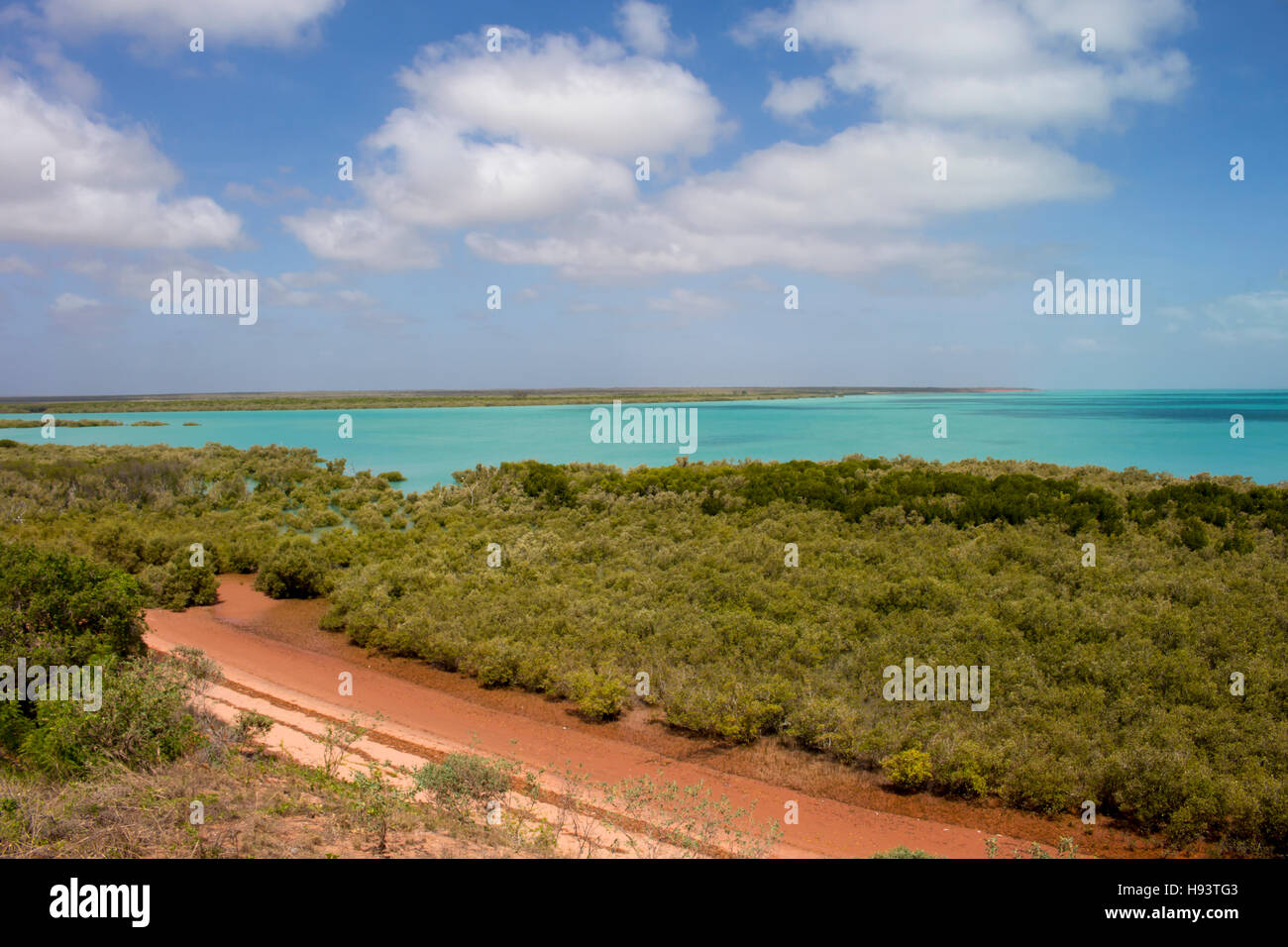 Mangroves lining the tidal flat inlets around Broome, North Western ...