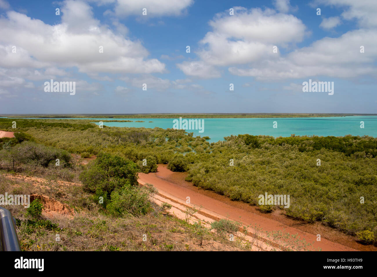 Mangroves lining the tidal flat inlets around Broome, North Western ...