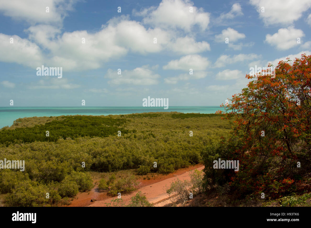 Mangroves lining the tidal flat inlets around Broome, North Western ...