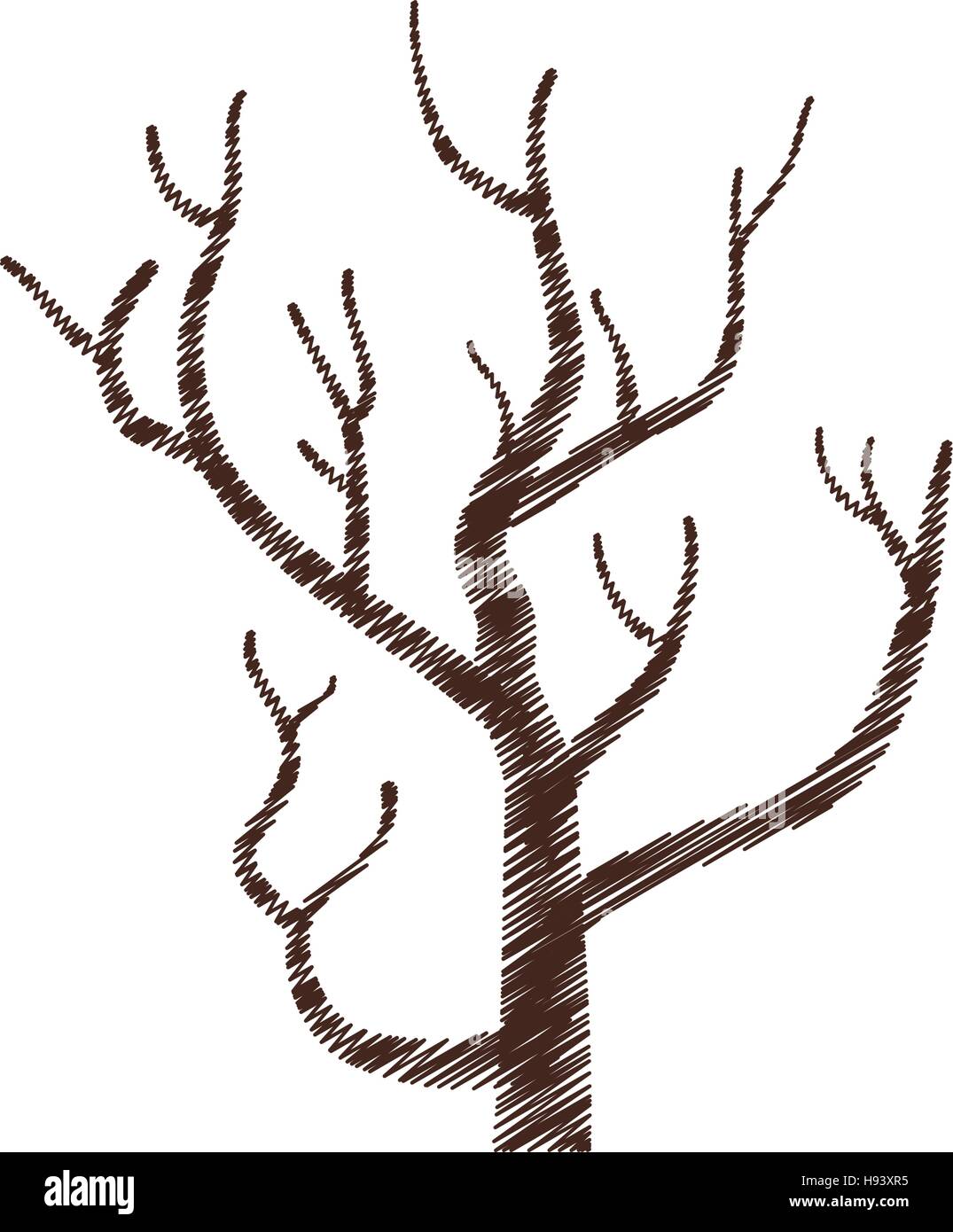 tree branch hand drawing isolated icon Stock Vector Image & Art - Alamy