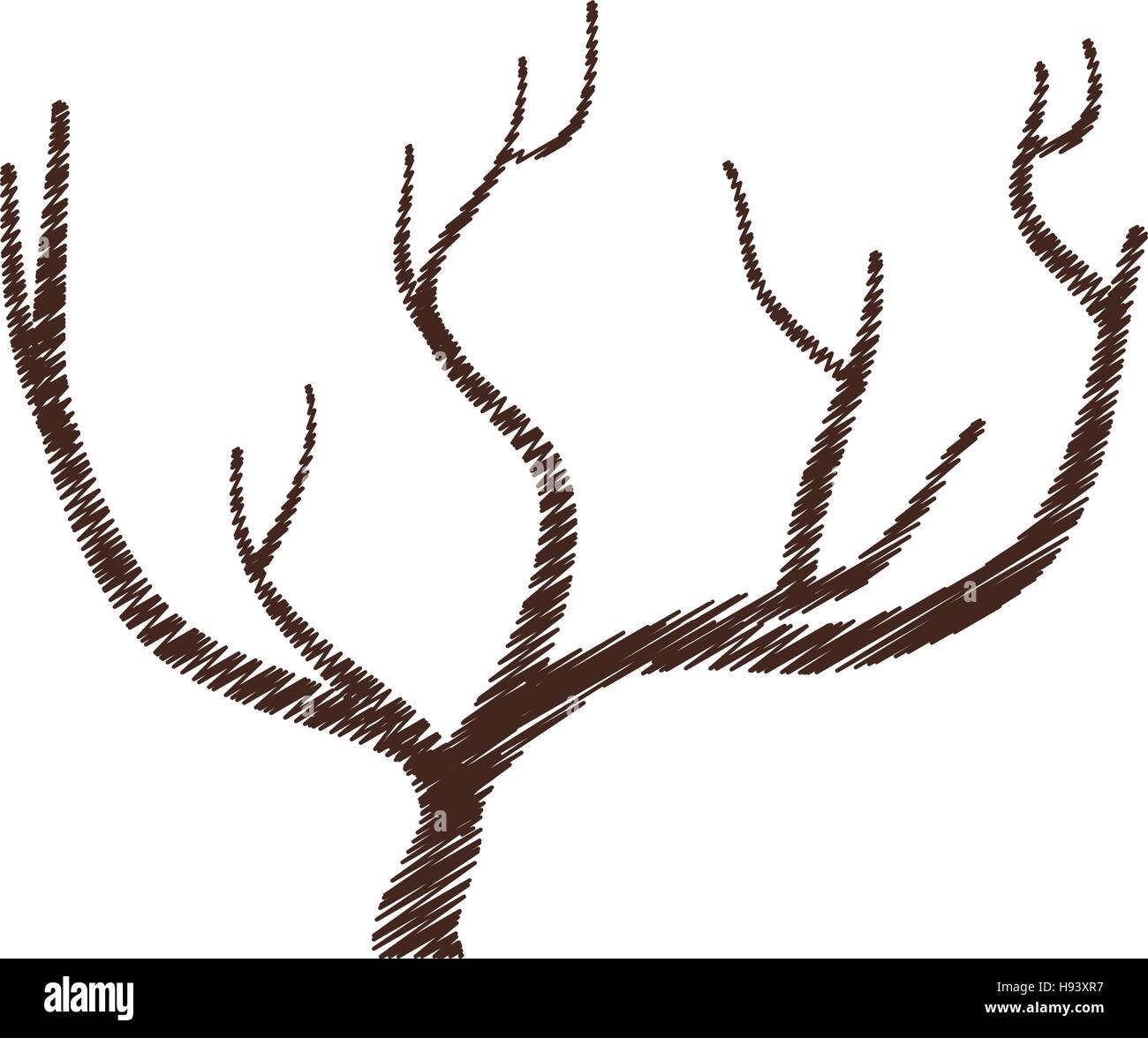 tree branch hand drawing isolated icon Stock Vector Image & Art - Alamy