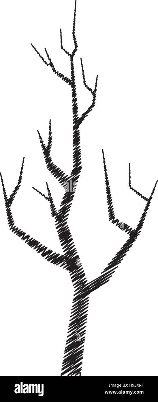 tree branch hand drawing isolated icon Stock Vector Image & Art - Alamy
