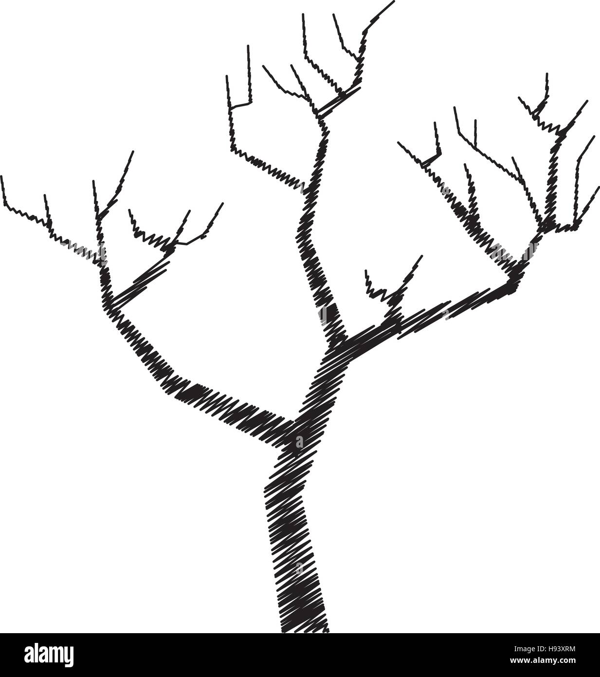 tree branch hand drawing isolated icon Stock Vector Image & Art - Alamy