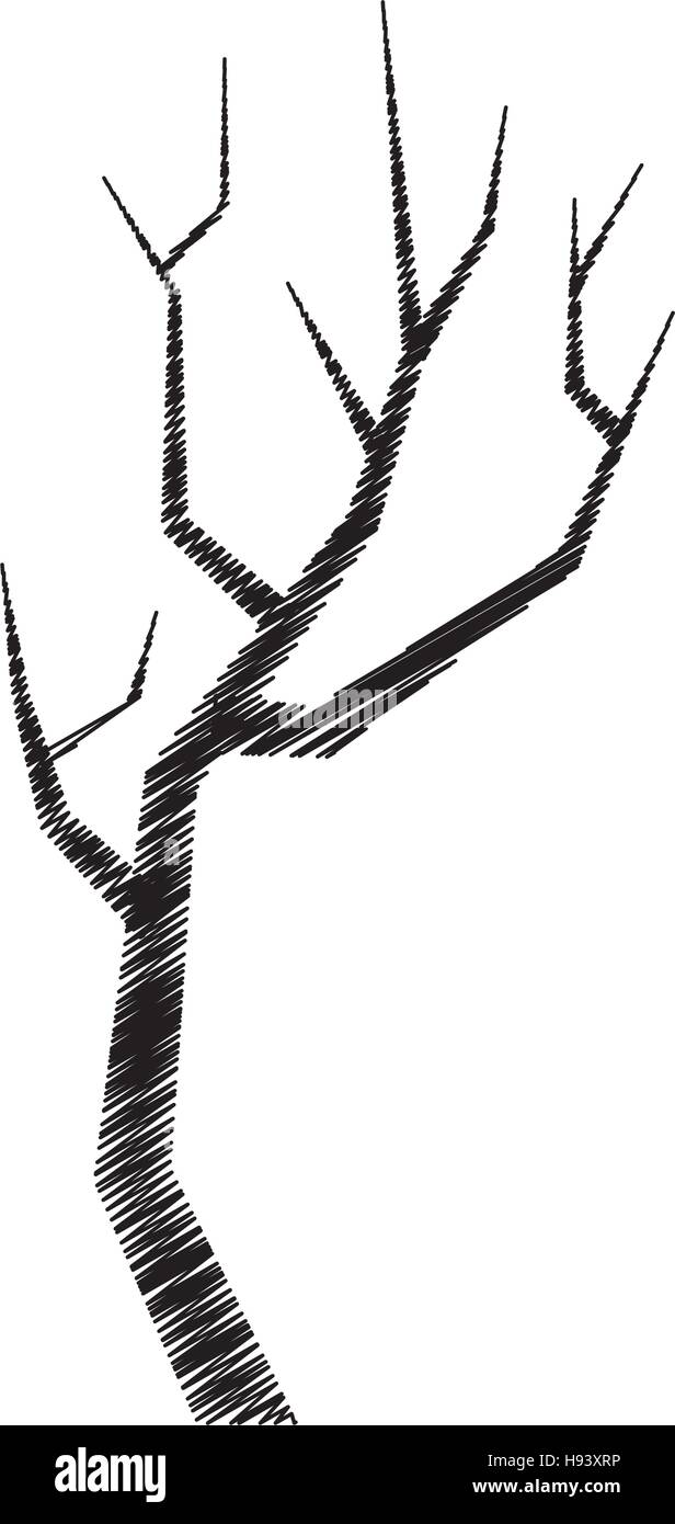 tree branch hand drawing isolated icon Stock Vector Image & Art - Alamy