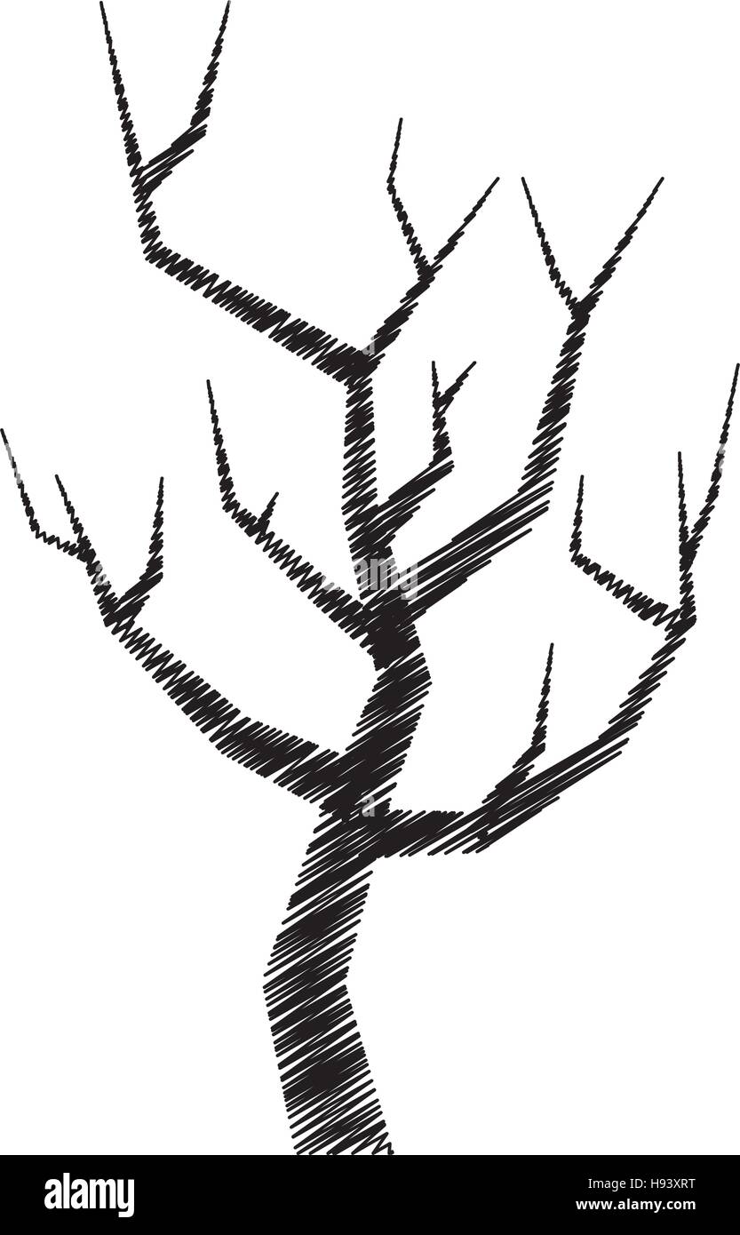 tree branch hand drawing isolated icon Stock Vector Image & Art - Alamy