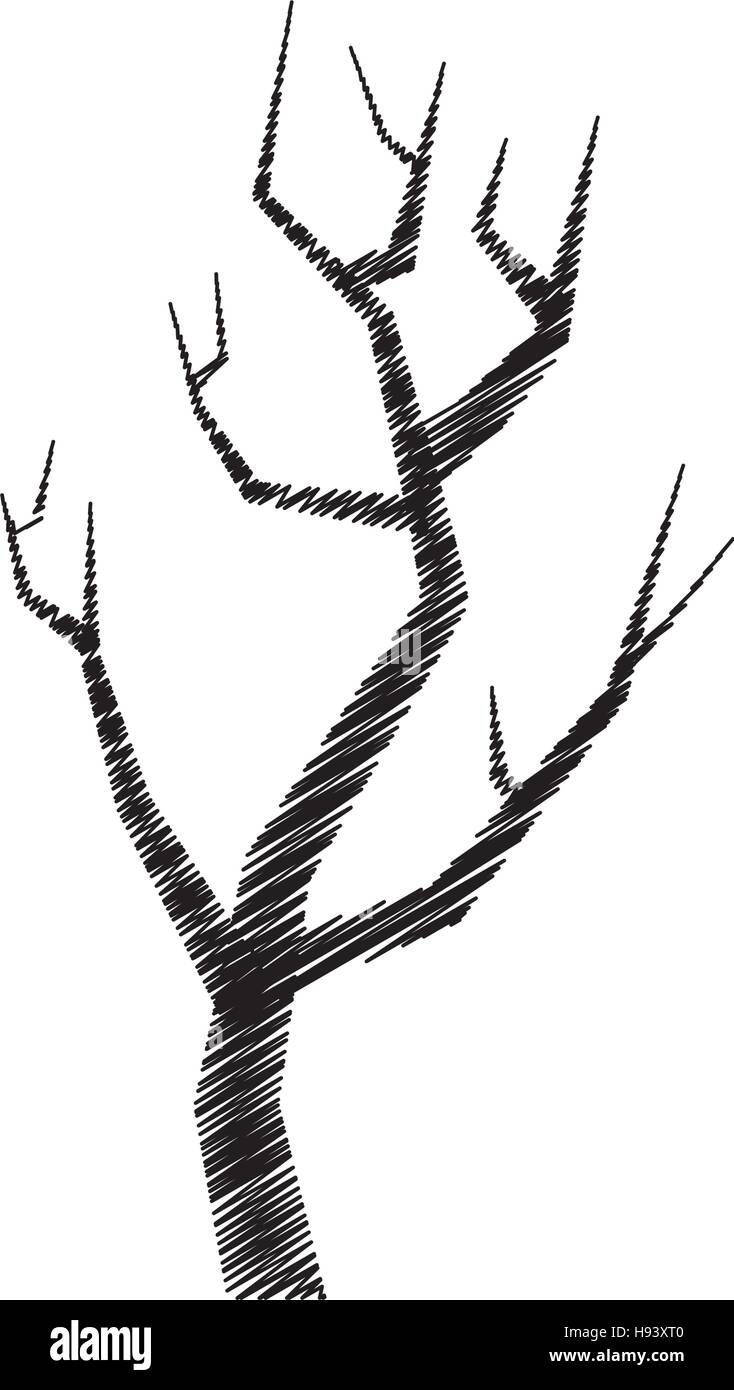 tree branch hand drawing isolated icon Stock Vector Image & Art - Alamy