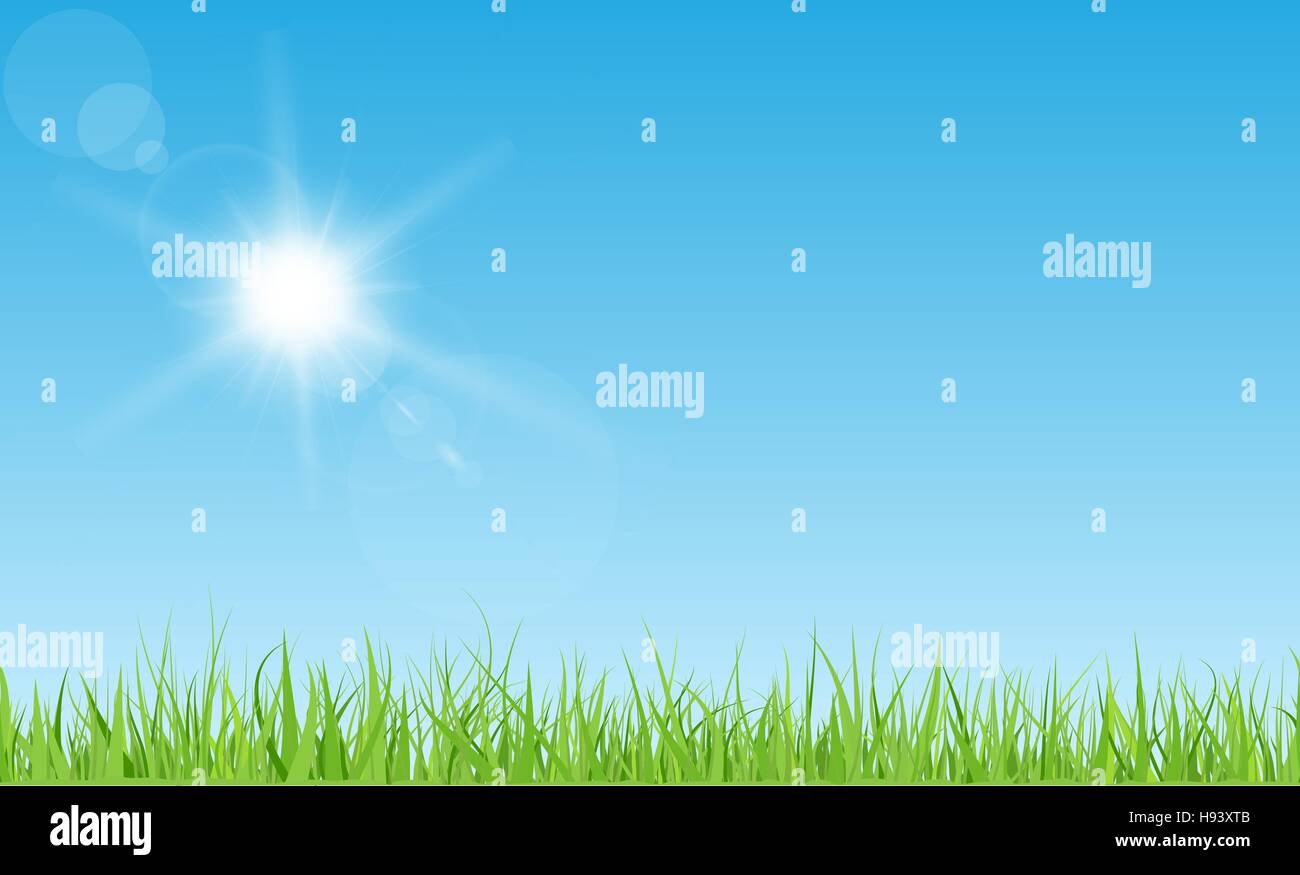 Sun with rays and flares on blue sky. Green grass lawn Stock Vector ...