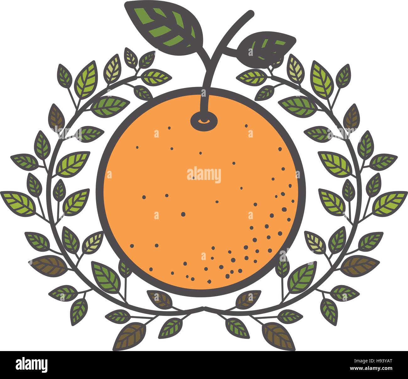 Orange fruit icon. Healthy organic and fresh food theme. Isolated ...