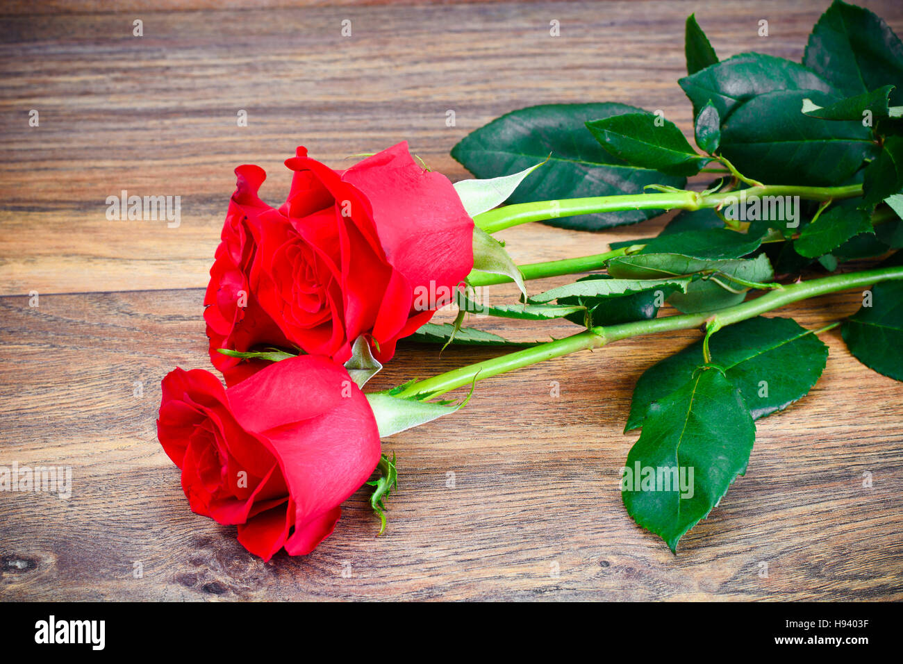 Beautiful Red Roses Flower on Wood Stock Photo - Alamy