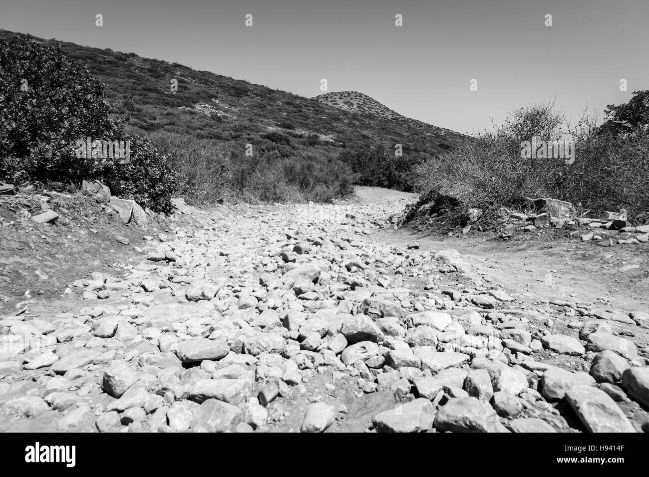 The dirt road strewn with large stones. The peninsula Kalydon. Crete ...