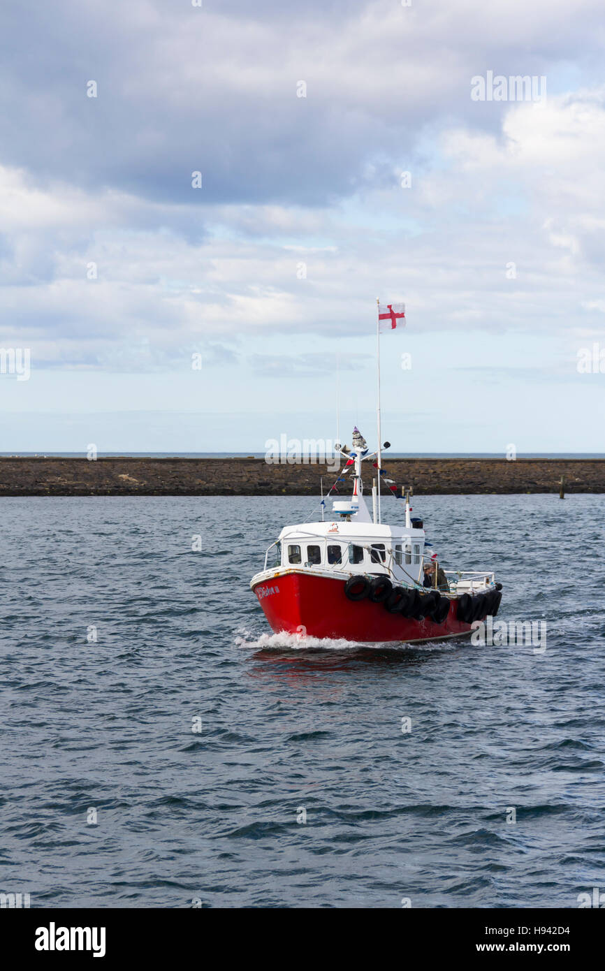 Puffin Cruises' 'G Fisher III' wildlife cruise boat returning to ...
