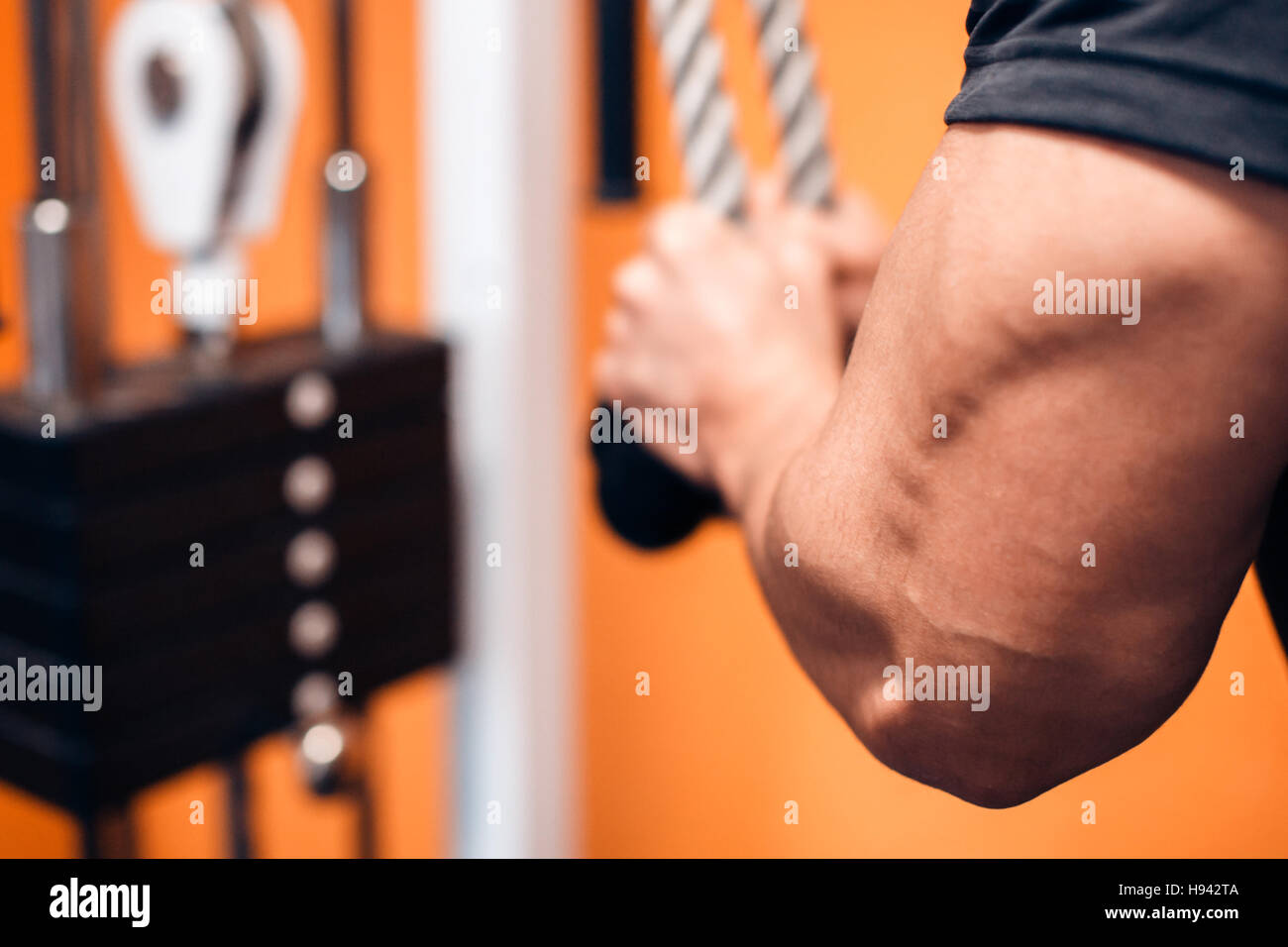Triceps workout at a cable machine Stock Photo - Alamy