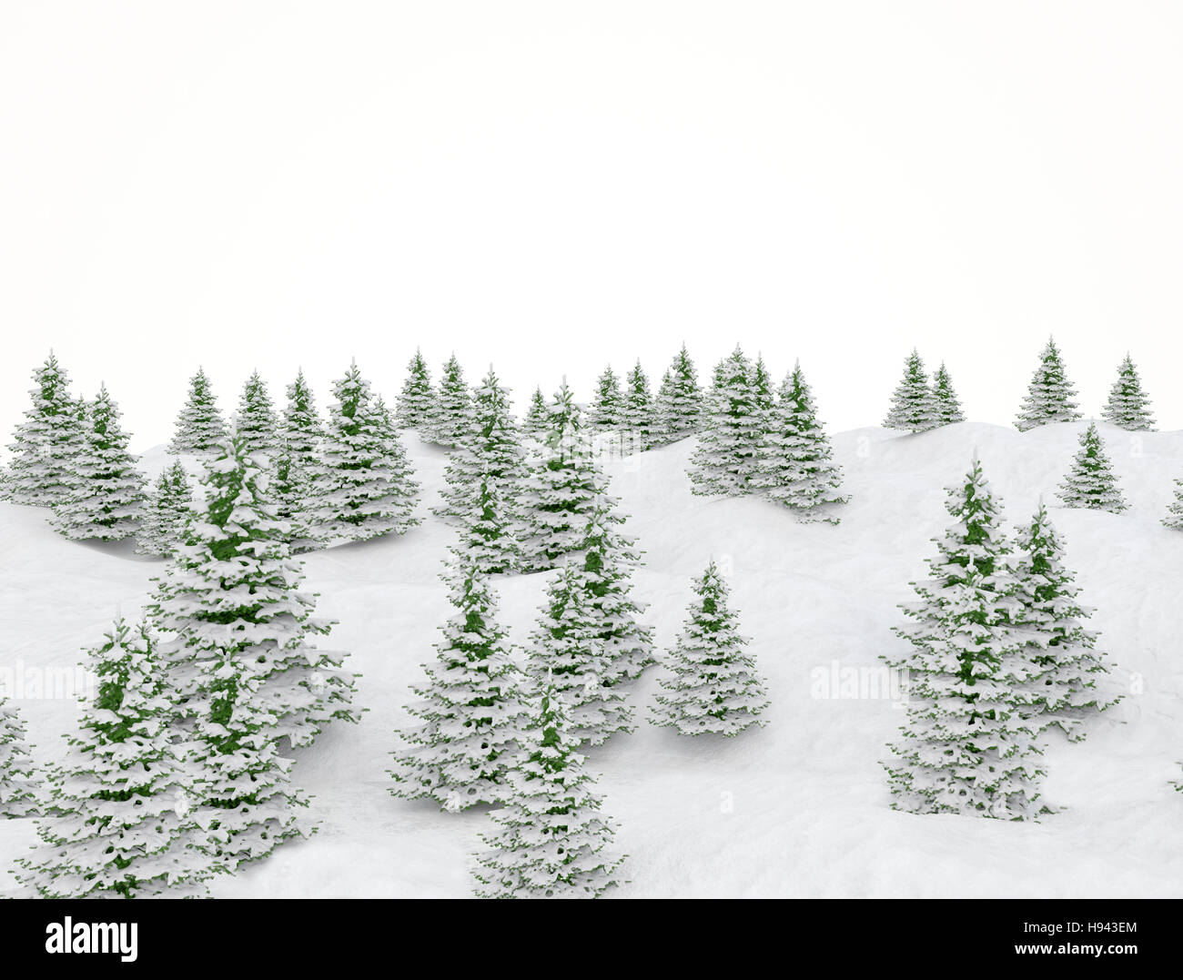 Winter landscape pine trees and snow isolated background Stock Photo ...