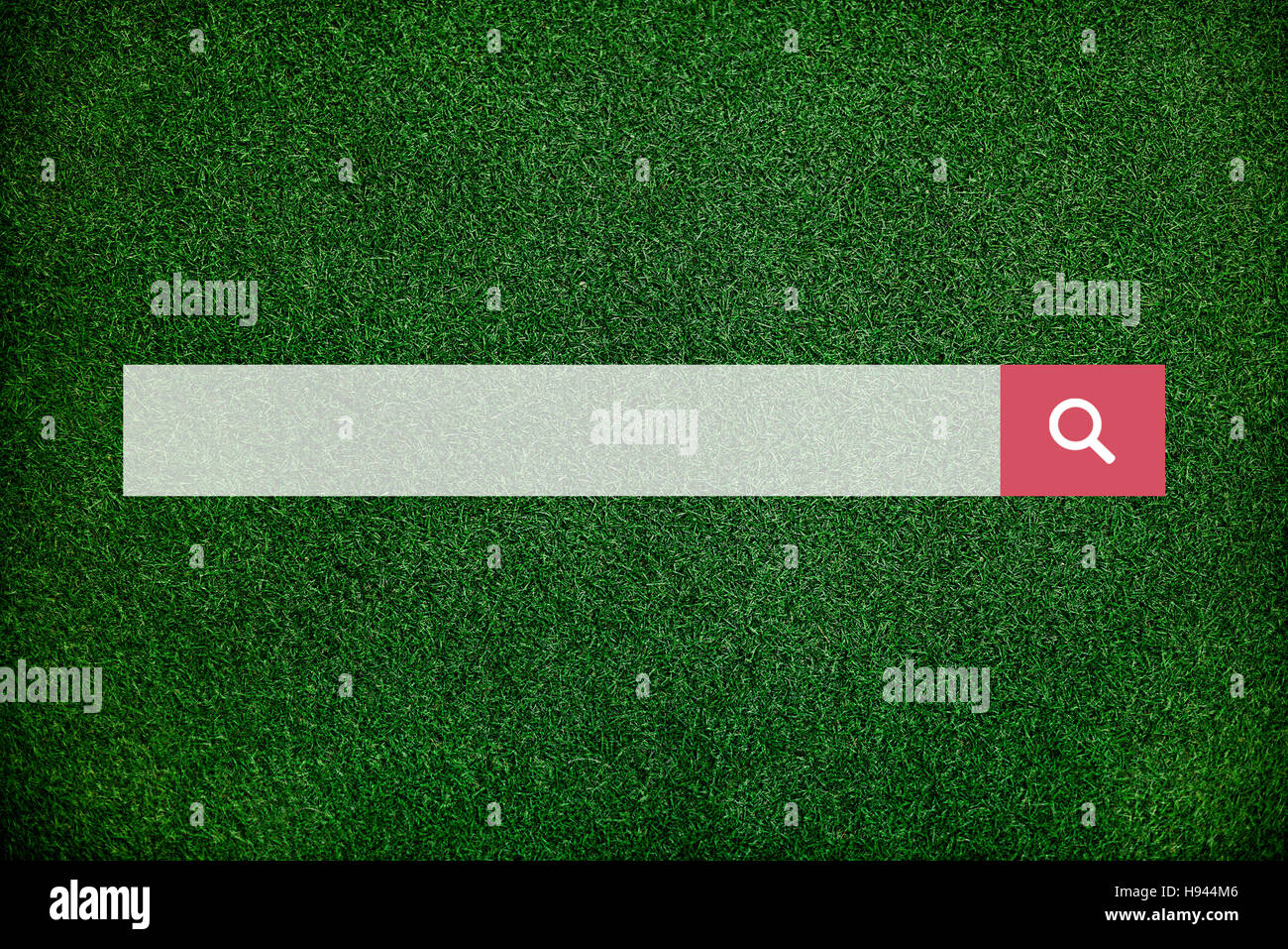 Search box Web Online Browsing Searching Concept Stock Photo - Alamy