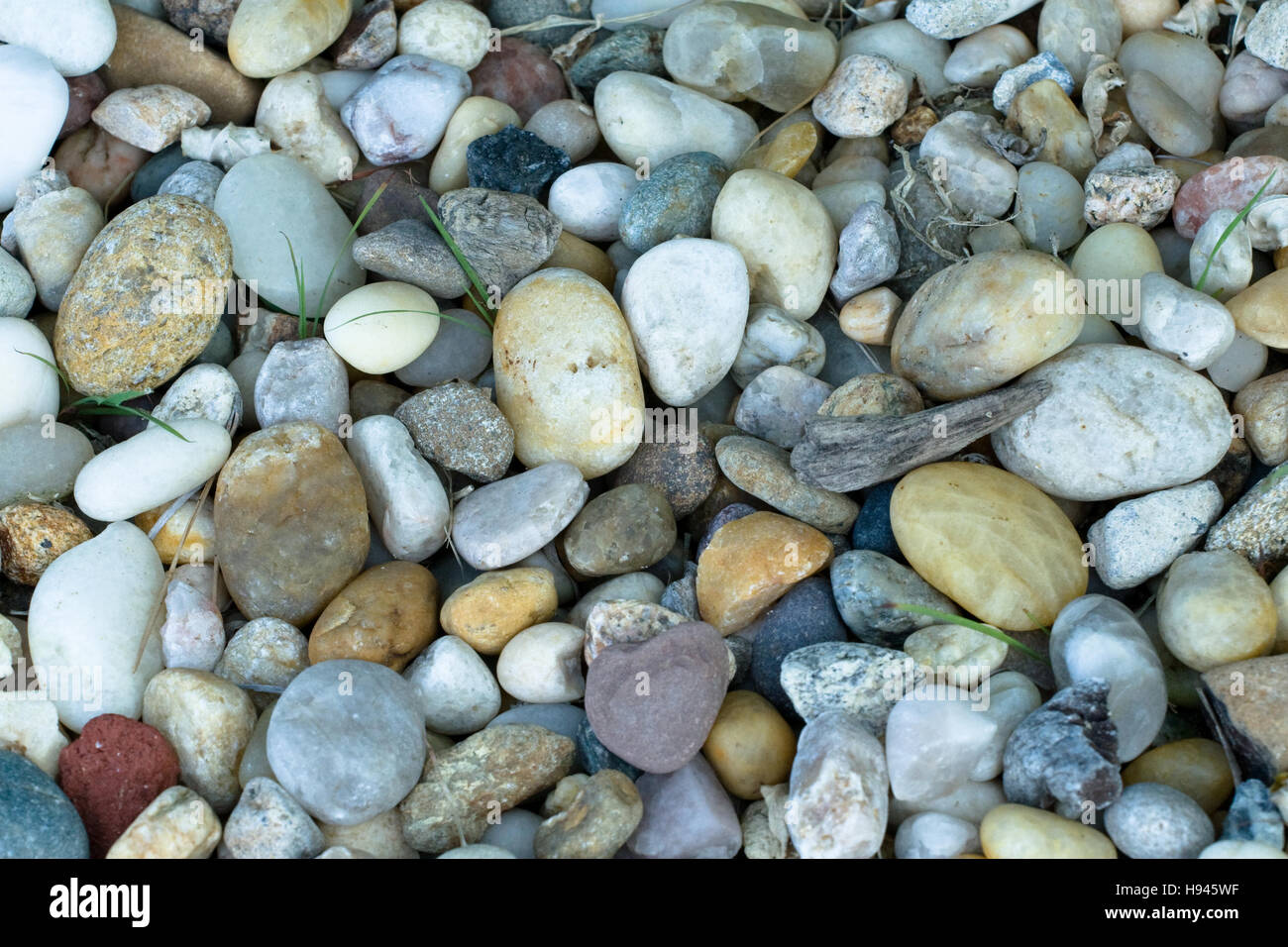 Shoreline rocks hi-res stock photography and images - Alamy