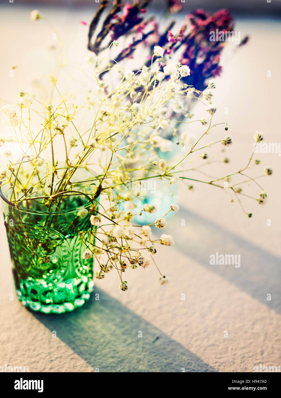 Glass Plant Decoration Beautiful Concept Stock Photo - Alamy