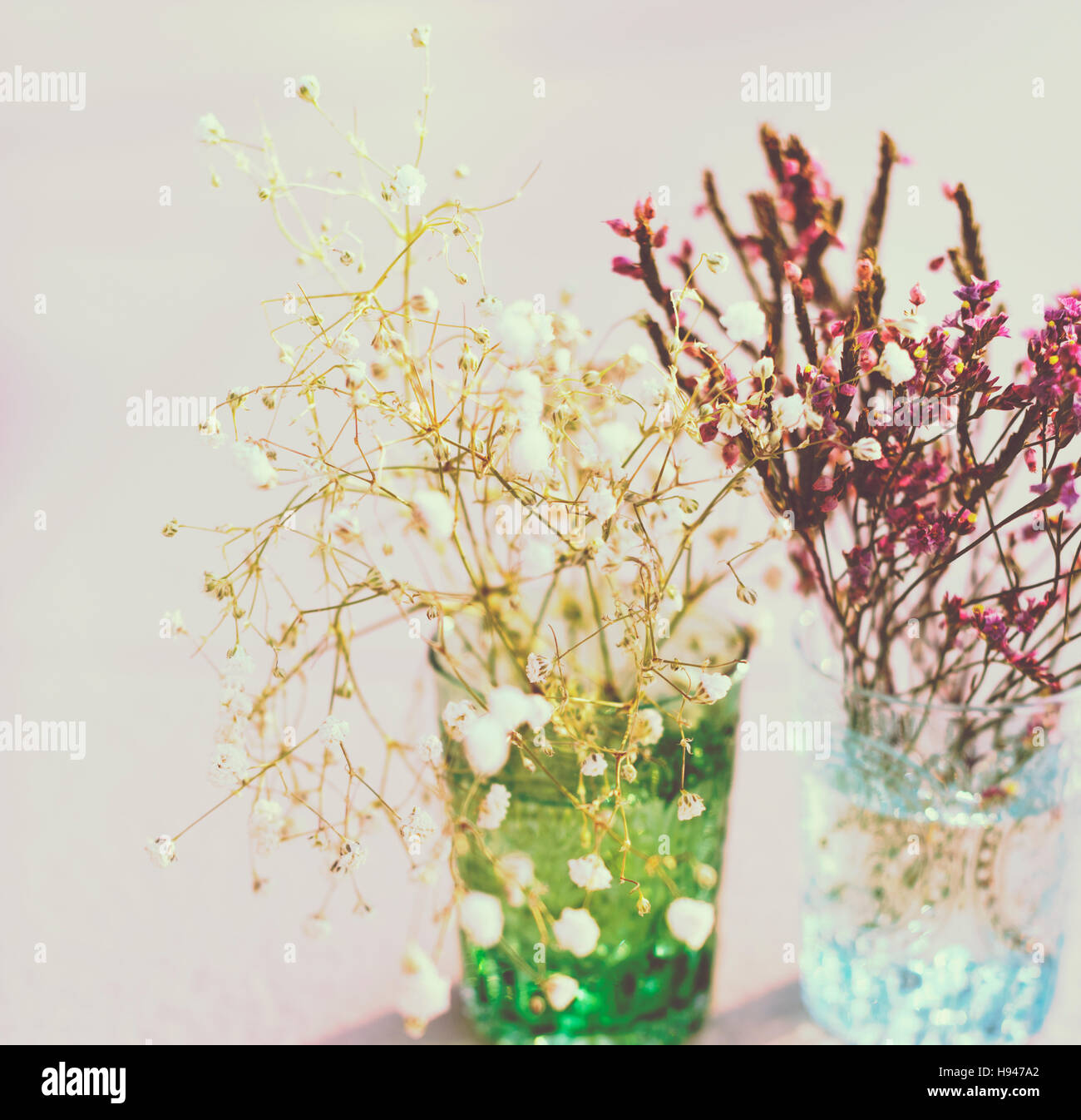 Glass Plant Decoration Beautiful Concept Stock Photo - Alamy