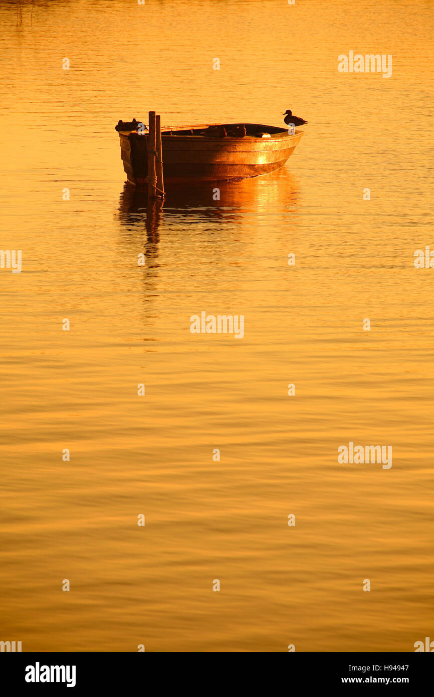 Ducks resting on rowing boat at sunset, Zudar peninsula, Rügen ...